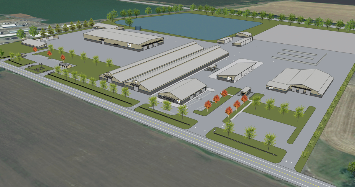 Rehub – Raising the Bar